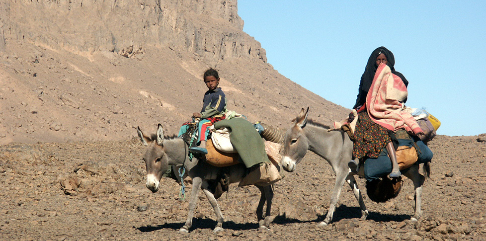 1-5 Who Lives in the Desert? | Smrt English